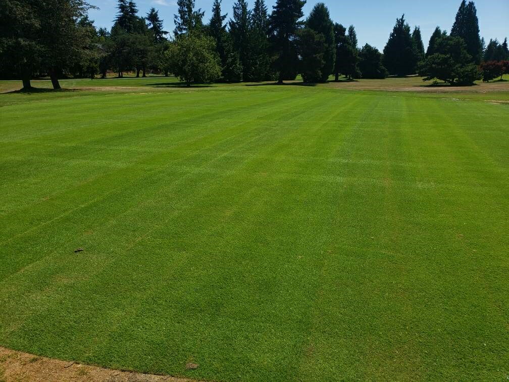 New Greens are Opening September 20th!